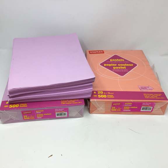 Assortment of 3 Reams of Pastel Printer Paper - Dutch Goat