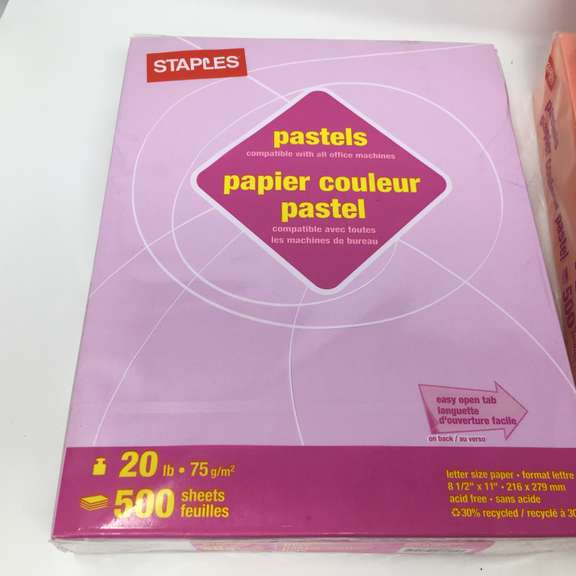 Assortment of 3 Reams of Pastel Printer Paper - Dutch Goat