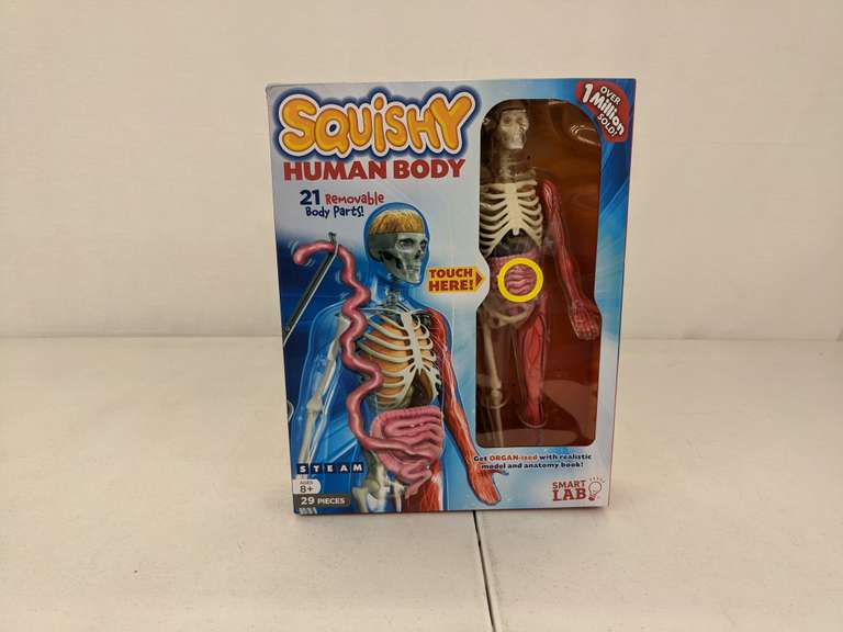 Human Body Model For Kids 2-Pack Removable Human Body Anatomy Models For Kids - Interactive ...