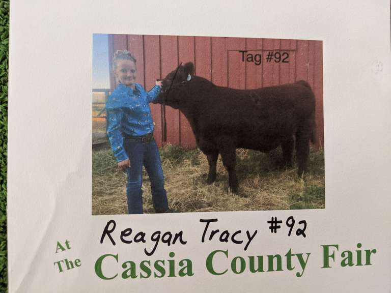Reagan Tracy Market Beef 1555 - Dutch Goat