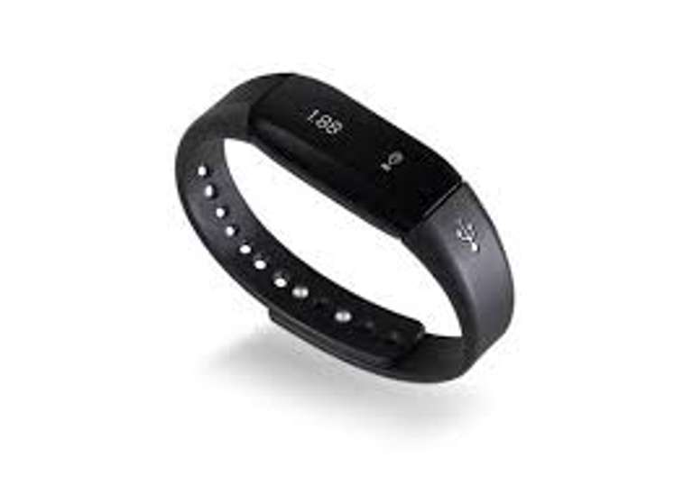 Virgin Pulse Max Buzz Activity Tracker - Dutch Goat