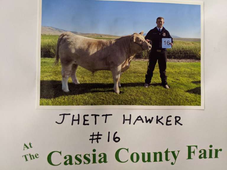 Jhett Hawker Market Beef 1480 - Dutch Goat