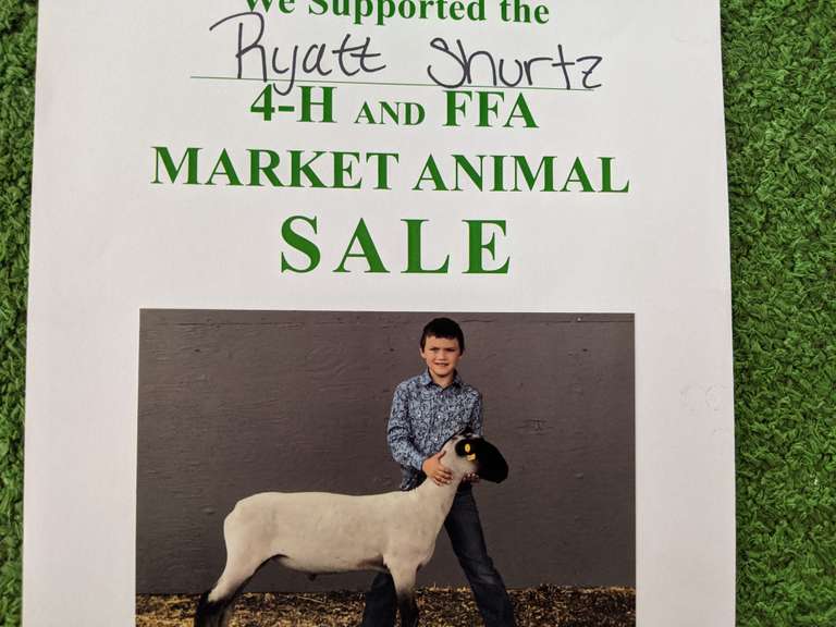 Ryatt Shurtz Market Sheep 126 - Dutch Goat