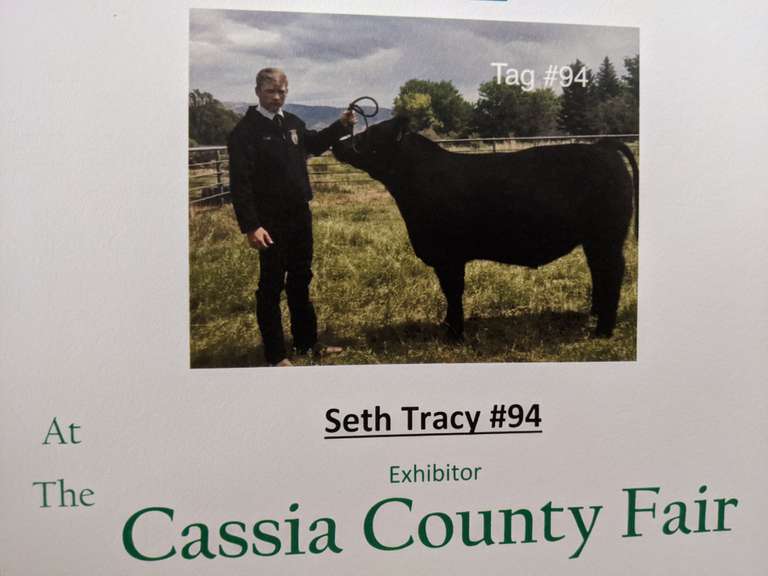 Seth Tracy Market Beef 1310 - Dutch Goat