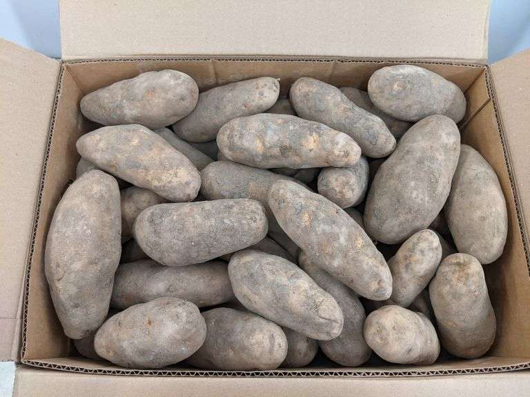 1 Box of: Sun Valley Brand - Idaho Potatoes - 50 Lbs. Box - Dutch Goat