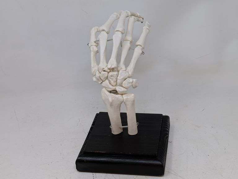 The Blackened Teeth - Skeleton Hand - Dutch Goat