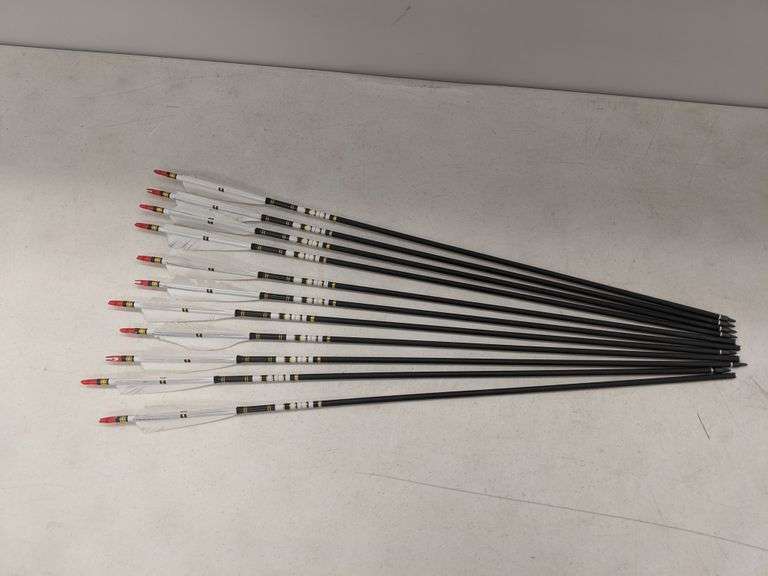 Set of 11 Traditional Archery Arrows. no Tips - Dutch Goat