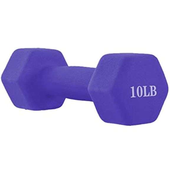 10lb Purple Neoprene Coated Hex Dumbbell Weight - Dutch Goat