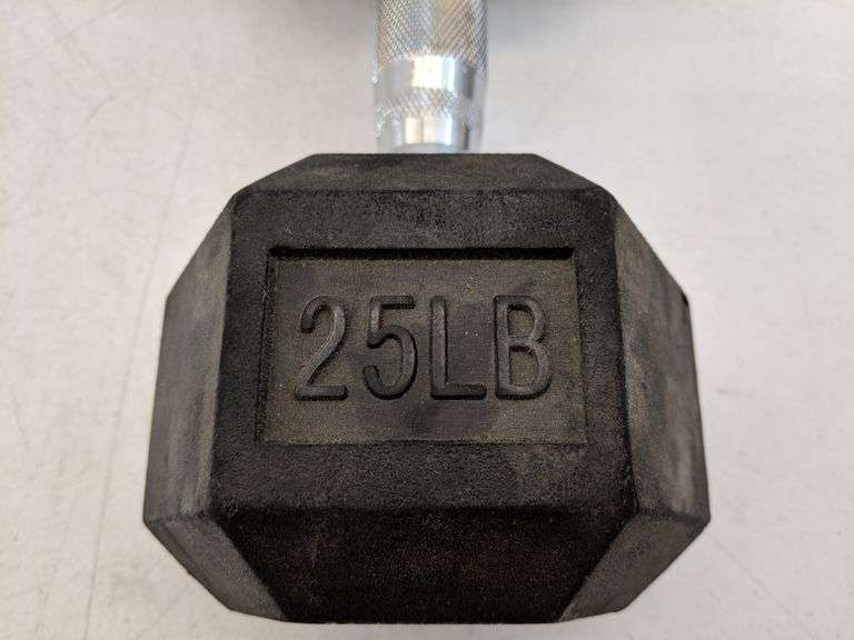 Lot of 2 Hand Dumbbell Weights, 25lbs. Each - Dutch Goat