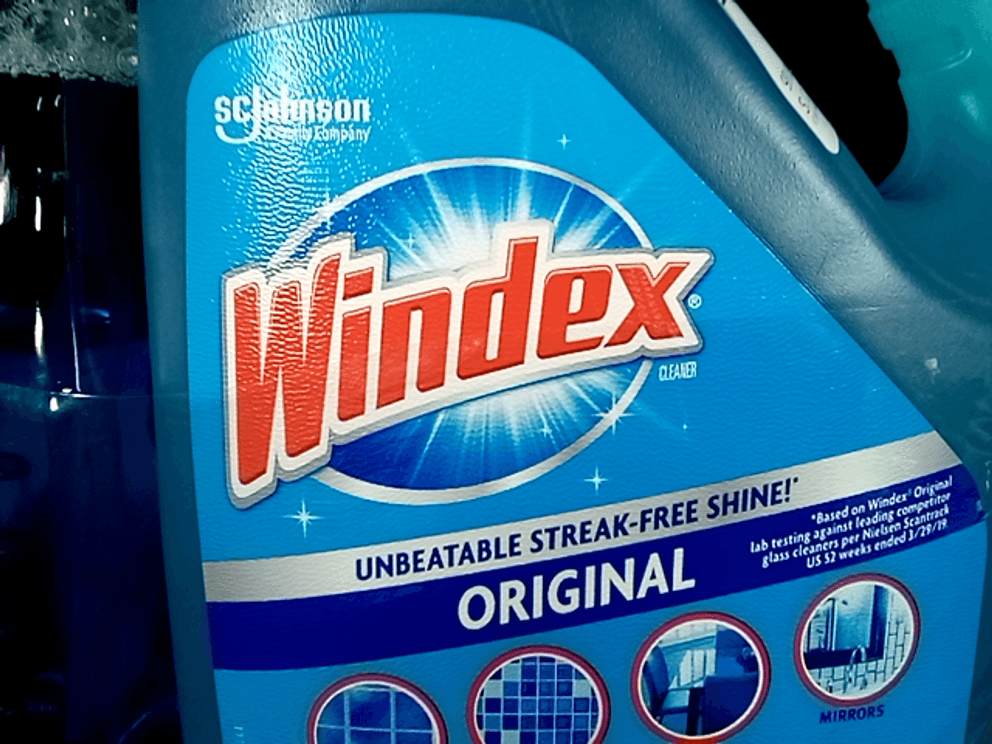 Windex Logo 2022