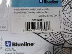 Lot of 2 Blueline Doodle Plan Coloring Desk Pad 2022 Calendar - Dutch Goat