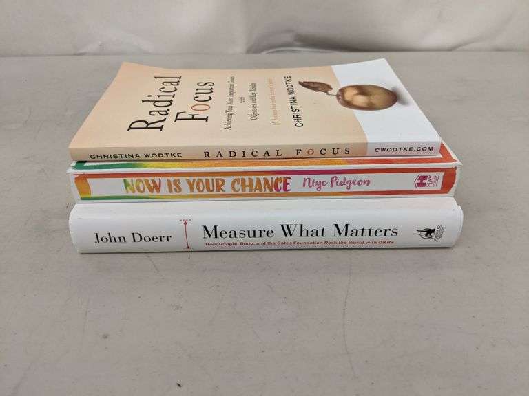 Assortment of Self Help Books: Radical Focus. Now Is Your Chance, And ...