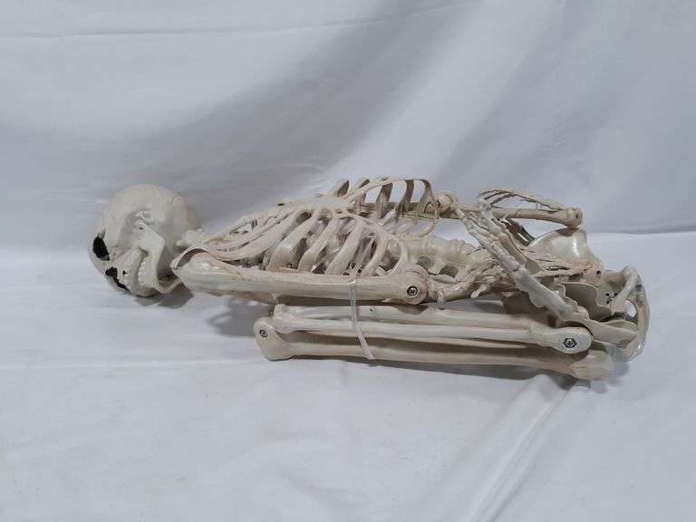Way to Celebrate! Halloween Posable Faux Skeleton - 5 ft. Tall - Dutch Goat