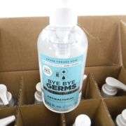 Box Of 12: Bye Bye Germs Hand Sanitizer Gel 6.62 fl oz - Reduces ...