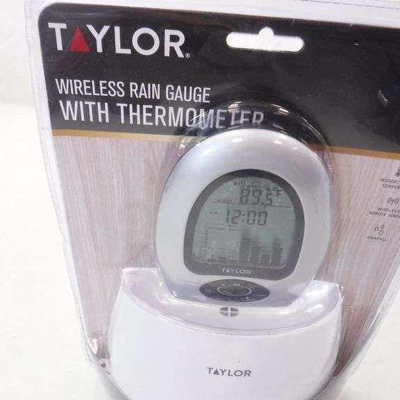 Taylor Rain Gauge Keyhole - Measures Indoor and Outdoor Temperature and ...