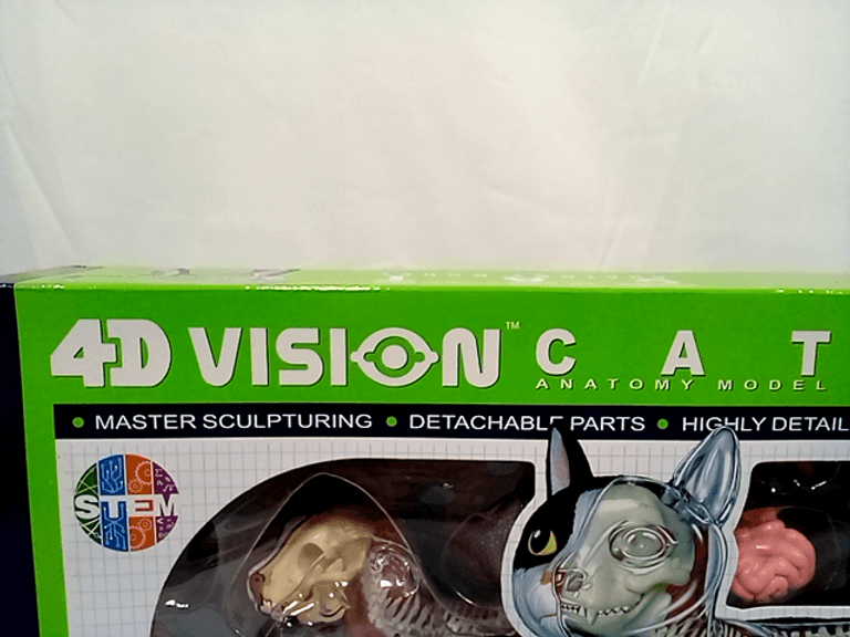 4D Vision Cat Anatomy Model, 28-Parts - Dutch Goat