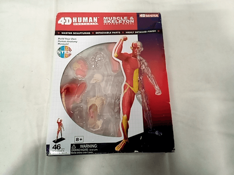 4D Master, 4D Human Anatomy Muscle & Skeleton Model, 46 Pieces, Multi ...
