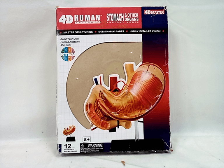 4DMaster 4D Human Anatomy Stomach & Other Organs Anatomy Model - Dutch Goat