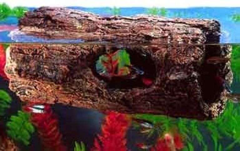 Zoo Med Floating Aquarium Log Large - Dutch Goat