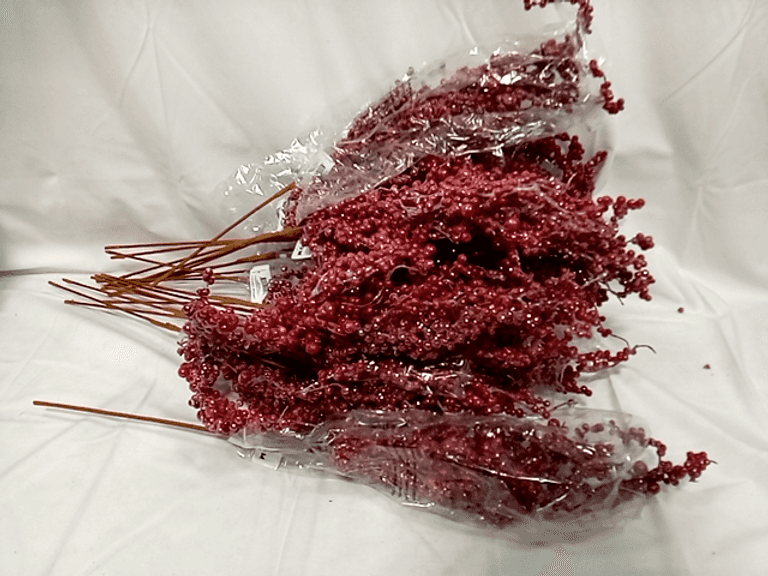 Bloom Room Red Frosted Berry Stems 9"x30" - Dutch Goat