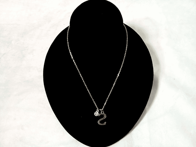 Alphabet Letter S Chain Necklace, 16", Silver - Dutch Goat