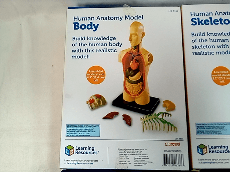 Assortment of 4-Learning Resources Human Anatomy Brain/Heart/Body ...