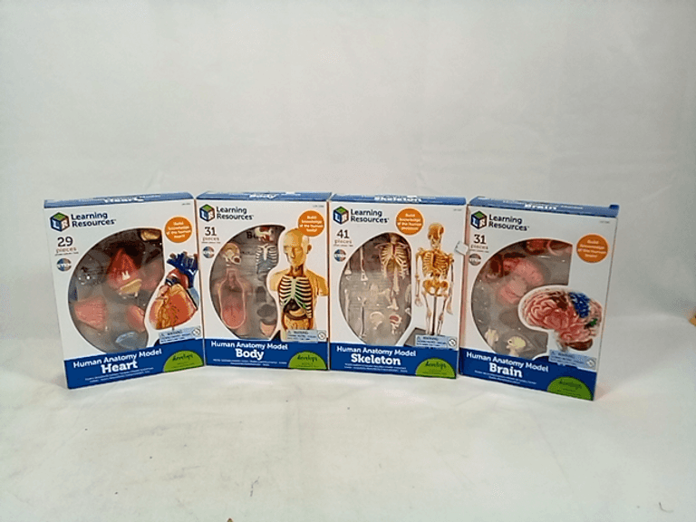 Assortment of 4-Learning Resources Human Anatomy Brain/Heart/Body ...