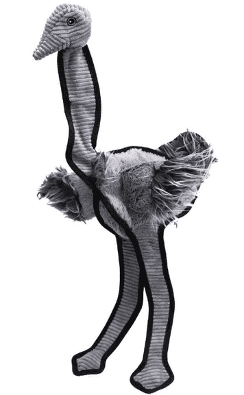 Steel Dog Bottle Squeaker Bird Ostrich Toy, Gray - Dutch Goat
