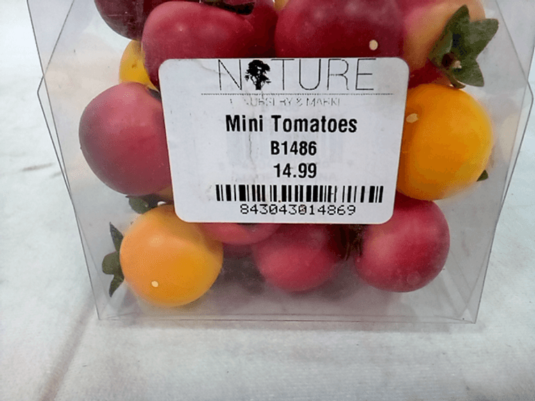Lot of 6 - Nature Nursery & Market Mini Tomatoes - Dutch Goat
