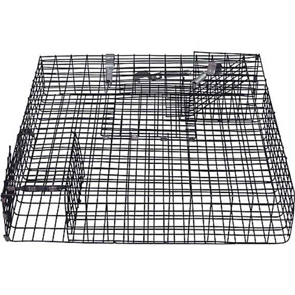 Catch MOR Multi-Catch Live Traps - The Chipmunkinator - Dutch Goat