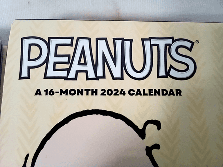 Assortment of 10 - Peanuts A 16-Month 2024 Calendars - Dutch Goat
