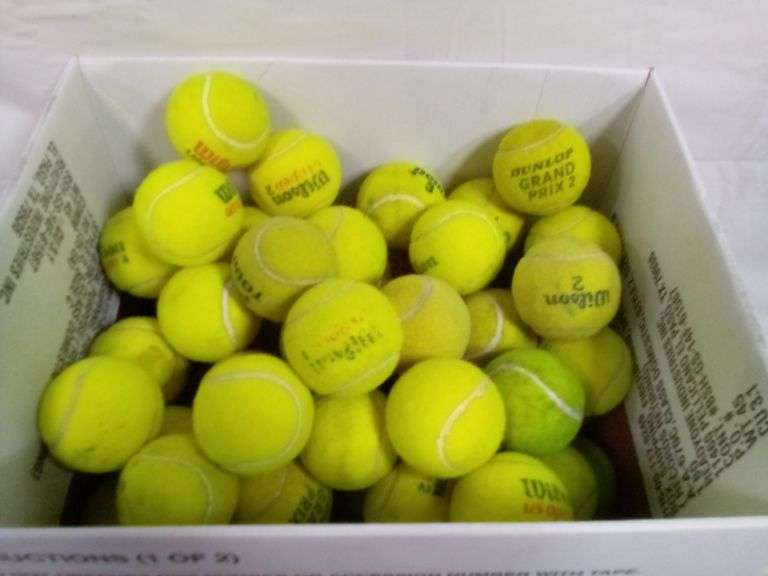 Assortment of 70 Tennis Balls - Dutch Goat