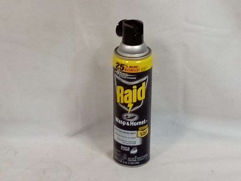 Raid, Wasp & Hornet Defense System Spray, Outdoor Insect Killer, 17.5 ...