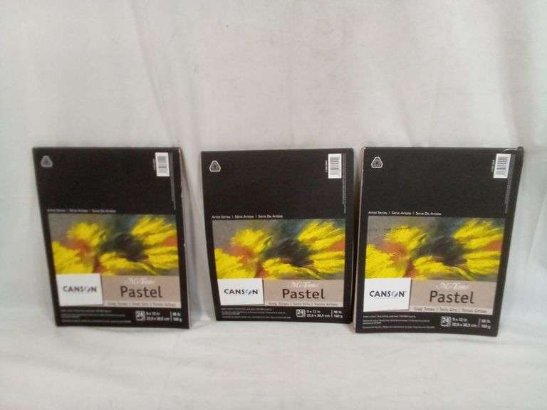 Lot of 3 Canson Artist Series Mi-Teintes Pastel Paper – Gray Tones 24 ...