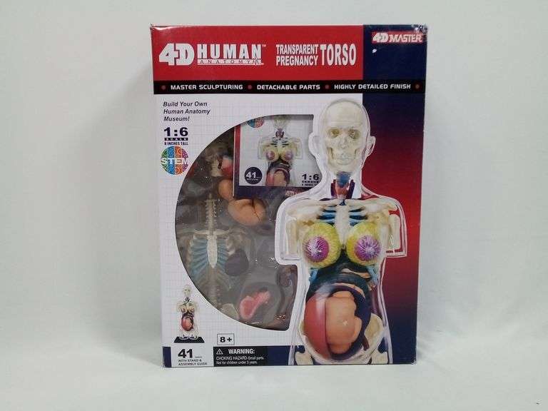 Famemaster, 4D Human Anatomy, 4D Human Anatomy, Transparent Pregnancy Torso Model - Dutch Goat