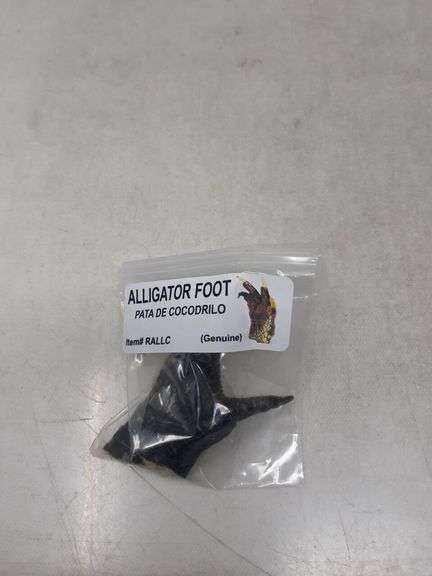 Alligator Foot Specimen Curio - Dutch Goat