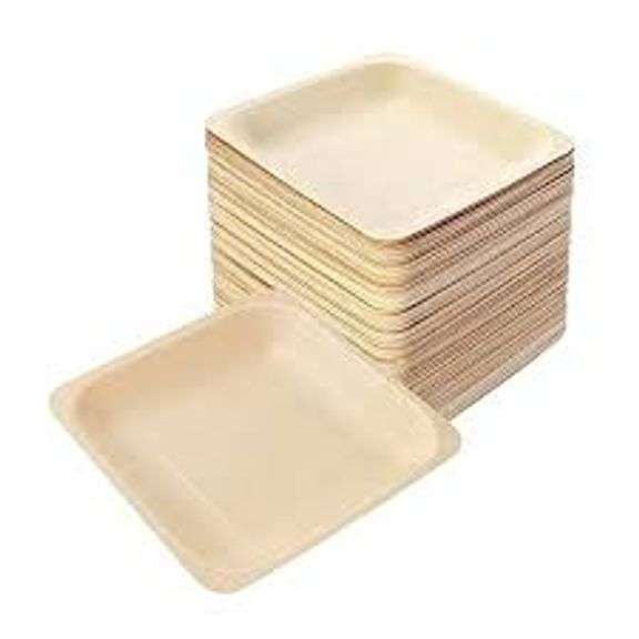Lot of 2 Eco-Friendly Square Disposable Shallow Plates – Beige 10" x 10 ...